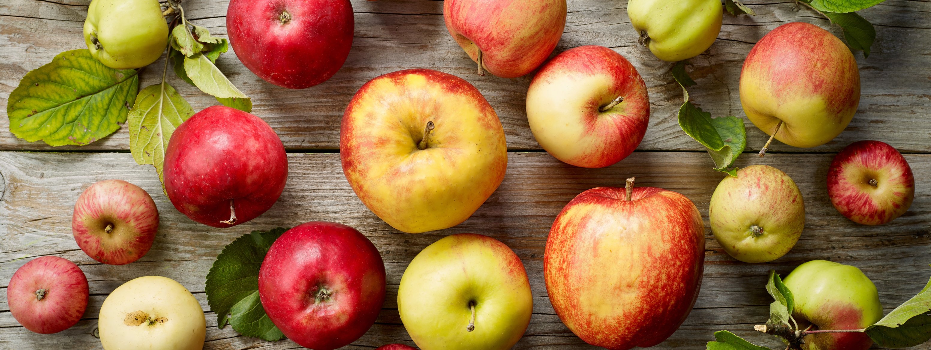 Different Types of Apples